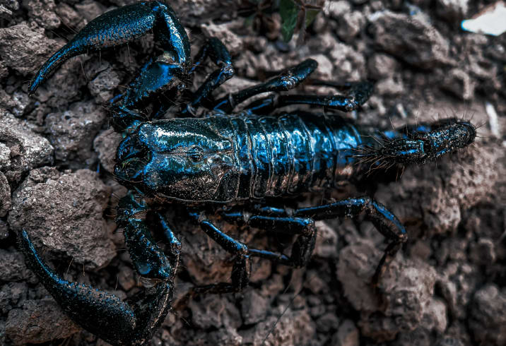 Grupo LifEscozul® Cuba | Comunicados publicados en deferentes medios de ...