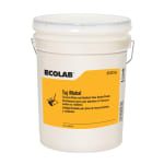 GuestSupply US | Ecolab® Taj Mahal Floor Sealer Finish, 5 Gallon, #6102145