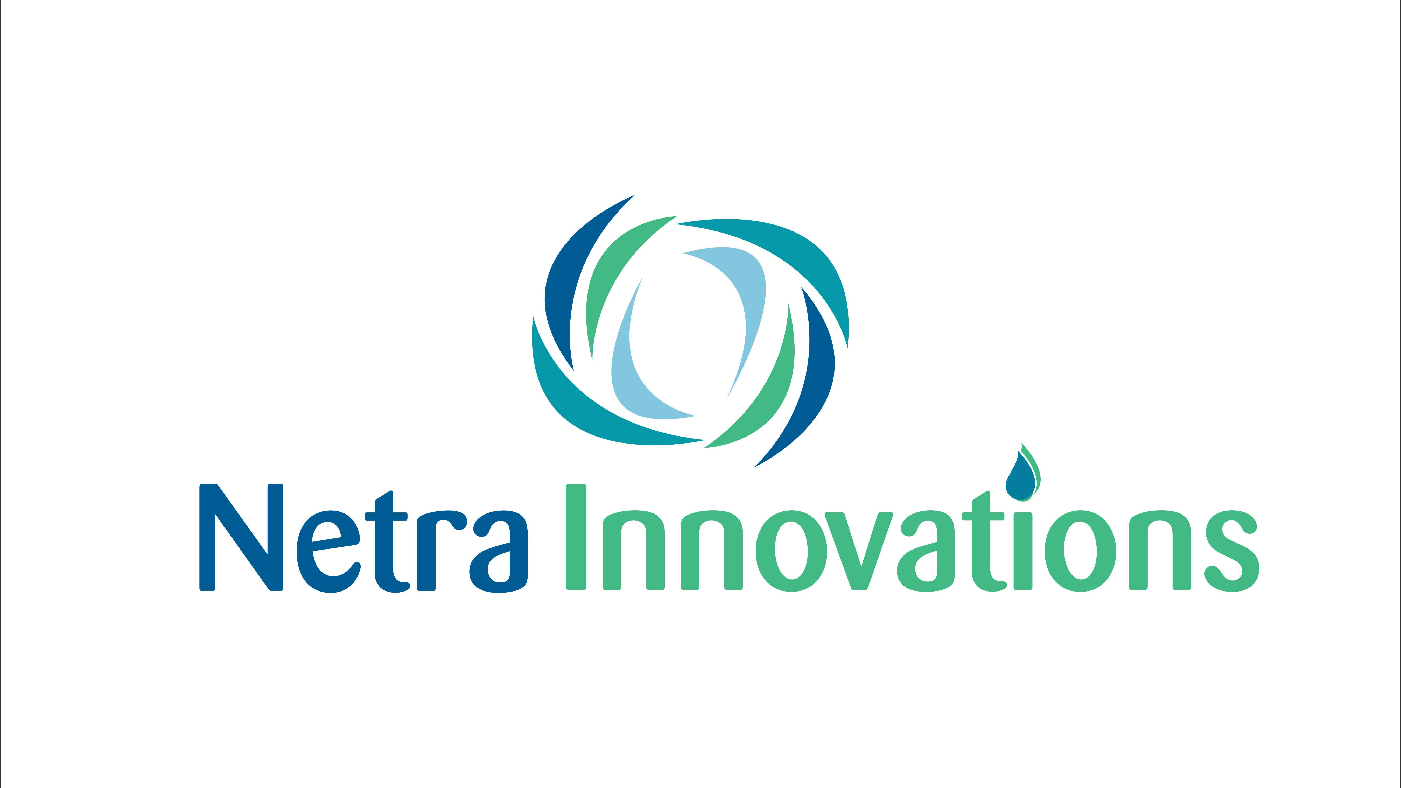 Netra Innovations - Freelancer on Guru