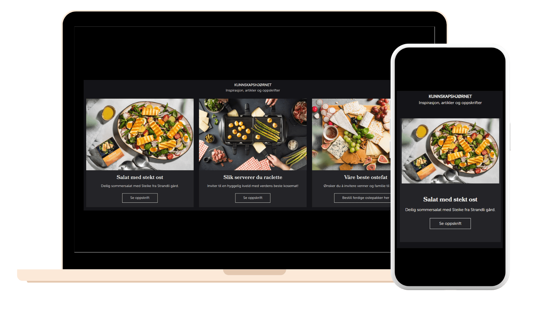 Effektive Kampanjebannere: Øk Synlighet i Nettbutikken | Gurusoft