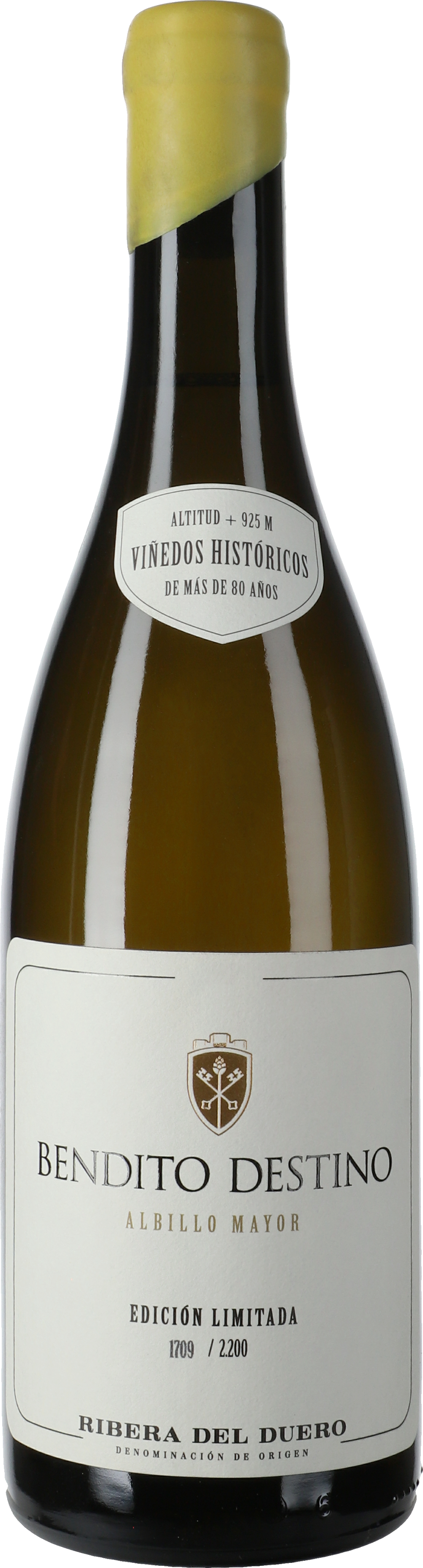 Bendito Destino: Albillo Mayor 2023 - Lobenbergs Gute Weine
