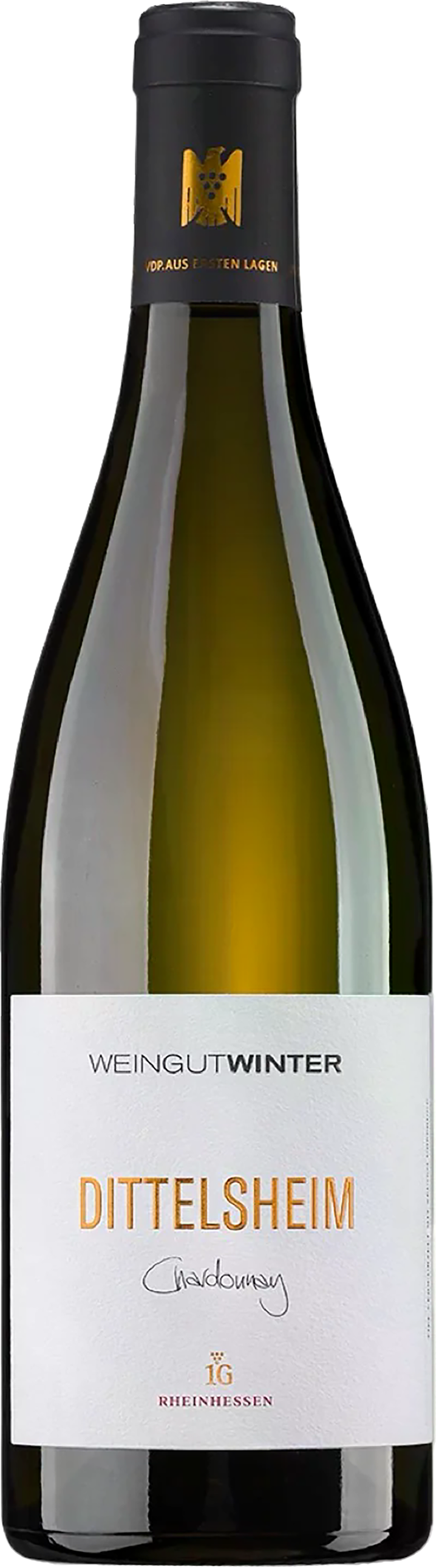 Weingut Winter: Chardonnay Dittelsheim Erste Lage 2023 - Lobenbergs