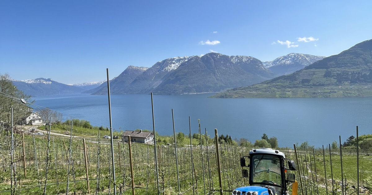 Raaen Sider - HANEN.no