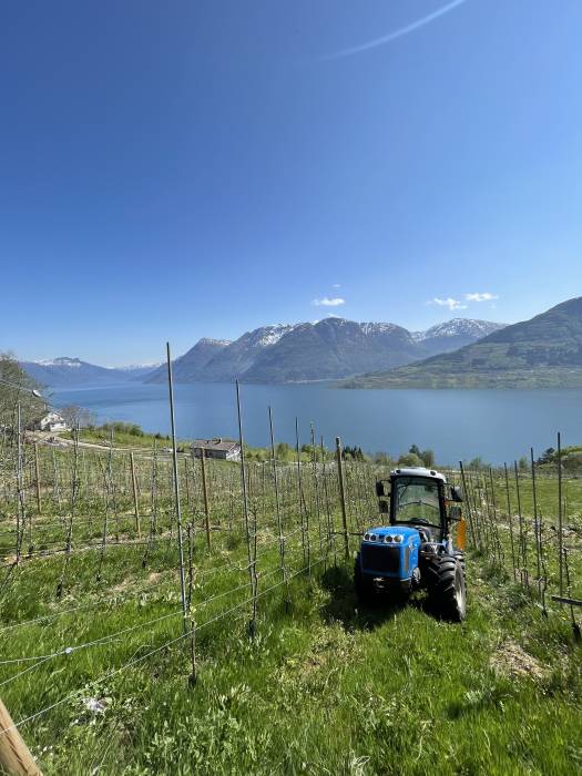 Raaen Sider - HANEN.no