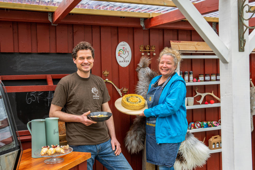 Refsnes Matglede - HANEN.no