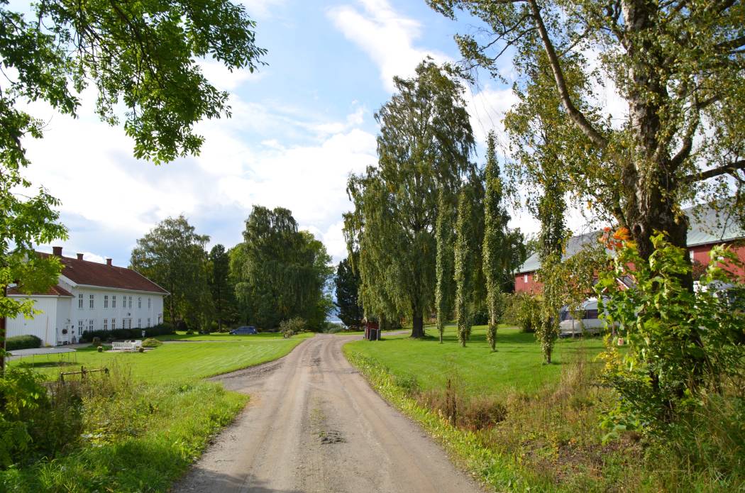 Braastad Epler - HANEN.no