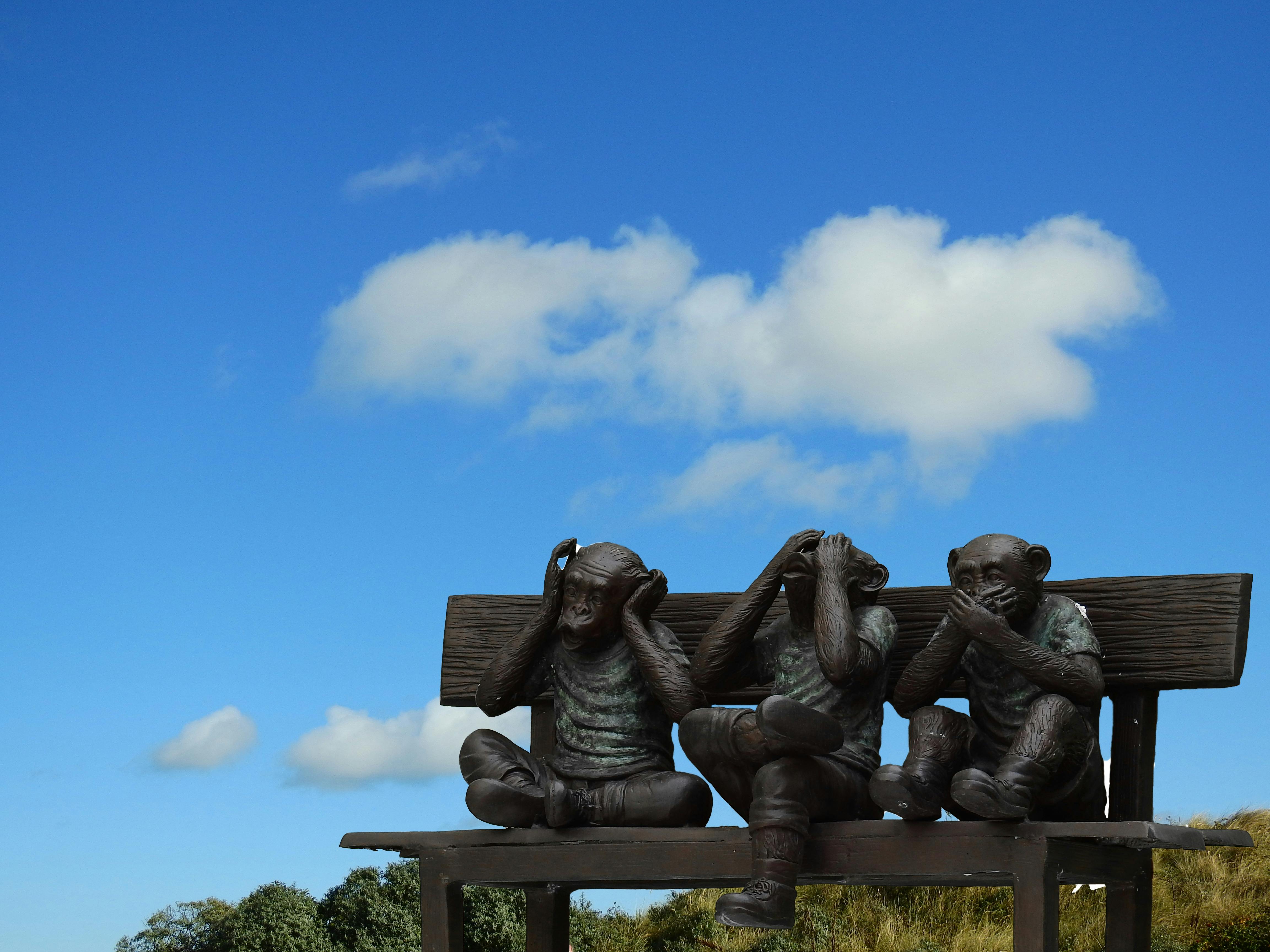 Duolingo Write About the Photo: The Three Wise Monkeys