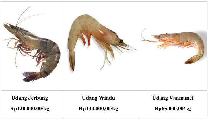 Soal Asesmen Nasional Numerasi SMA/SMK Beserta Kunci Jawaban