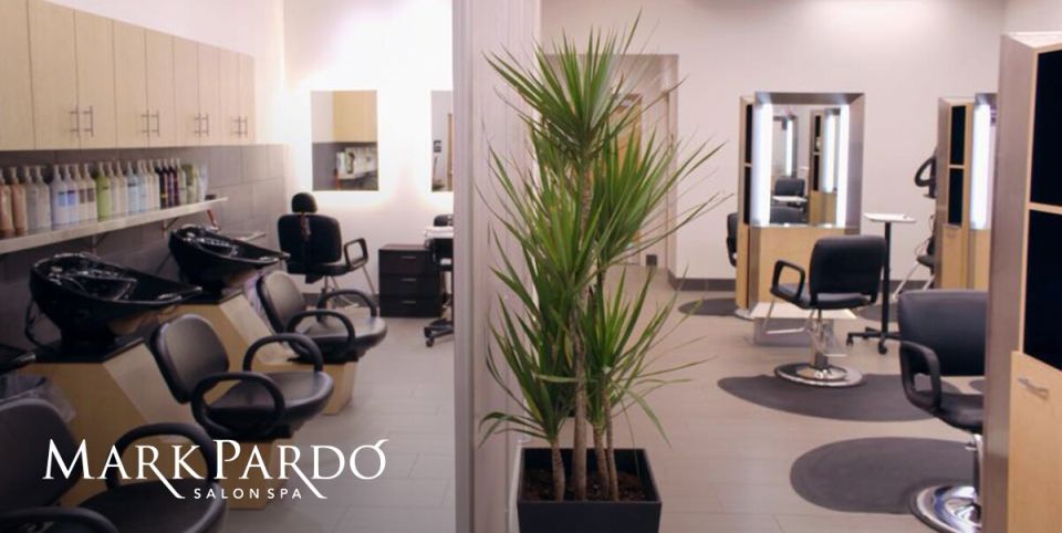 Mark Pardo Salon Winrock
