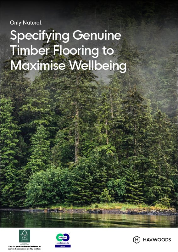 Sustainability in Timber: Eco-Friendly Wood Practices | Havwoods AU