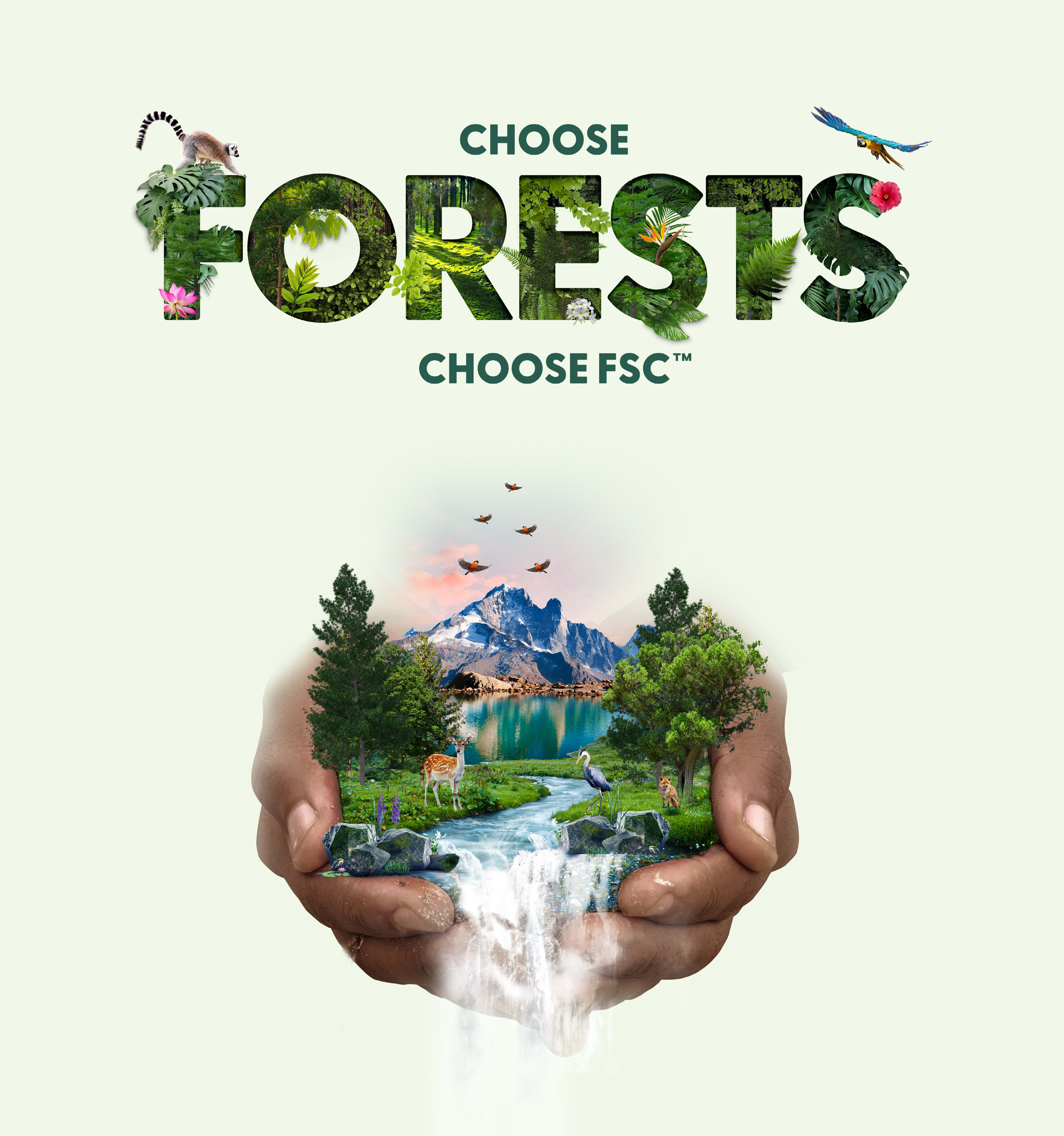 FSC FOREST WEEK 2022