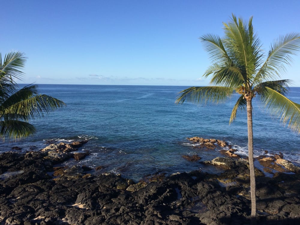 Kona Reef D35