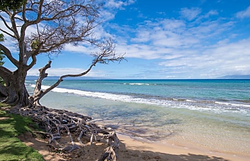 Maui Sands, Maui