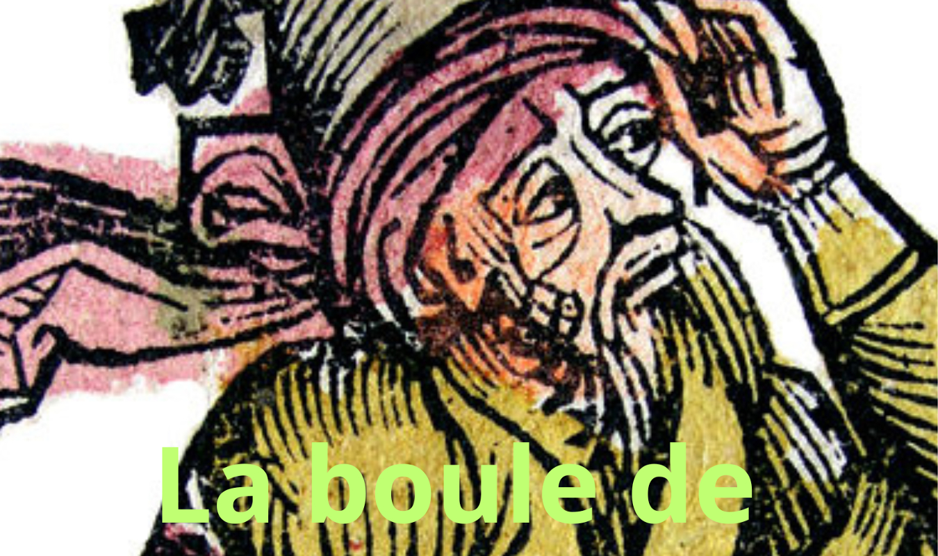 La boule de poils - Fyctia