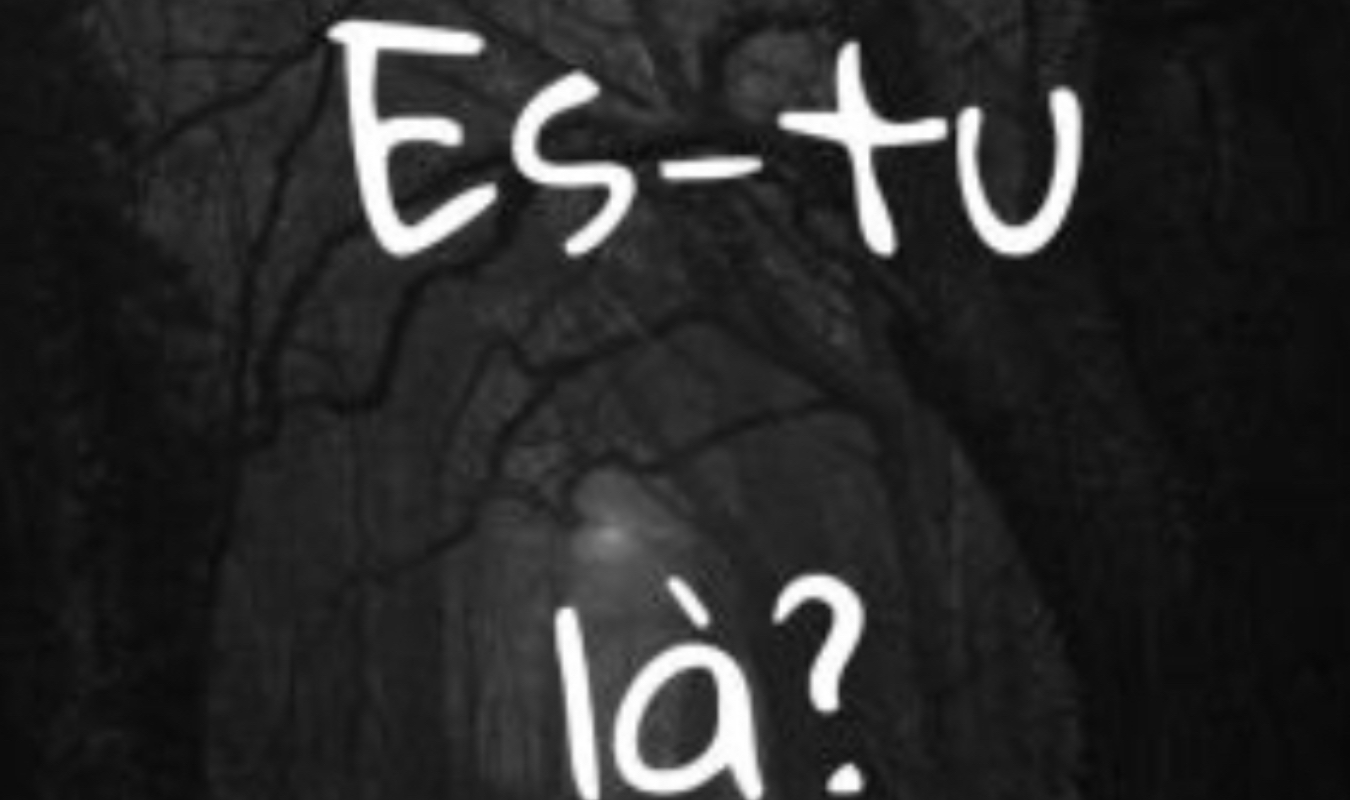 Es-tu là ? - Fyctia