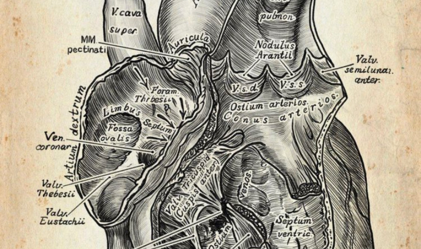 Entre Oran et Paris - Fyctia