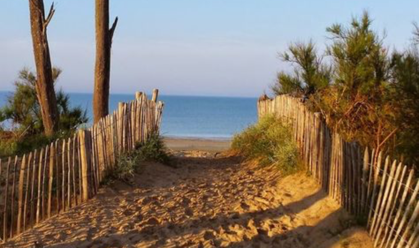 Surf, Anger and Therapy - Fyctia