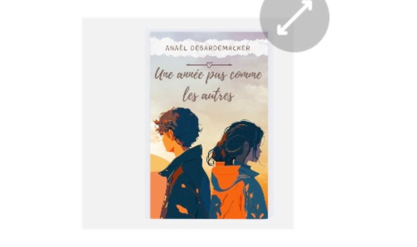 Une année pas comme les autres - Fyctia