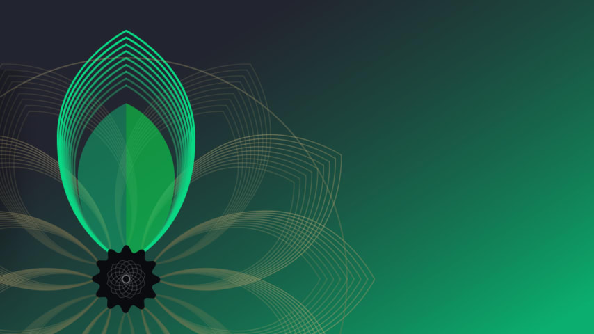 Er­folg & Fi­nan­zen