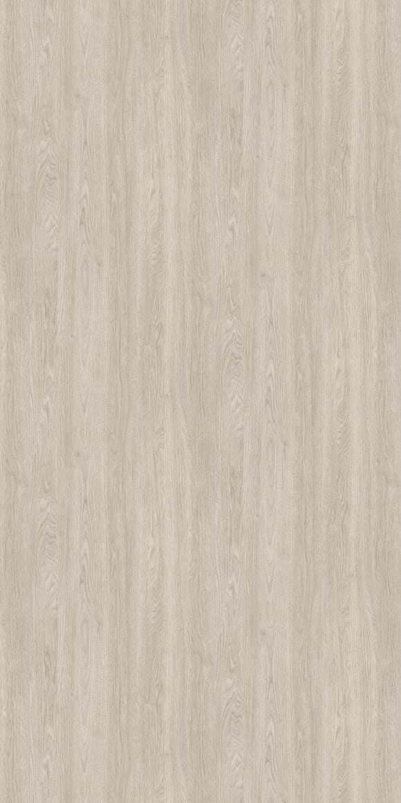 Rugby | T14IMGAS012020