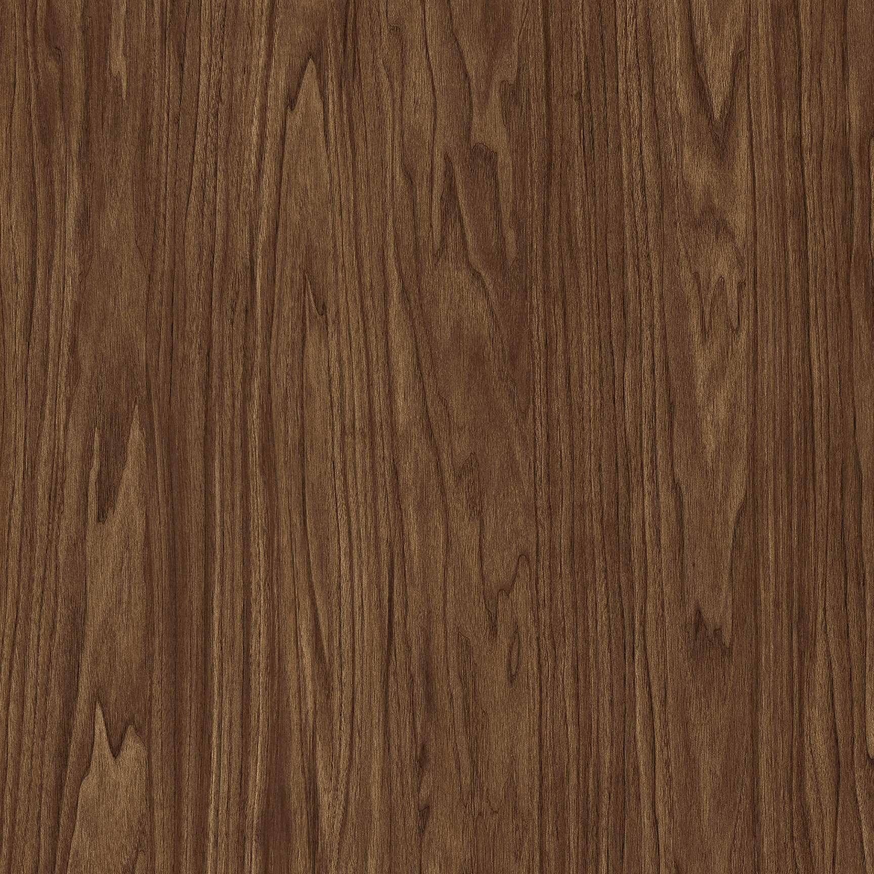 Rugby | T34ITSBN017590