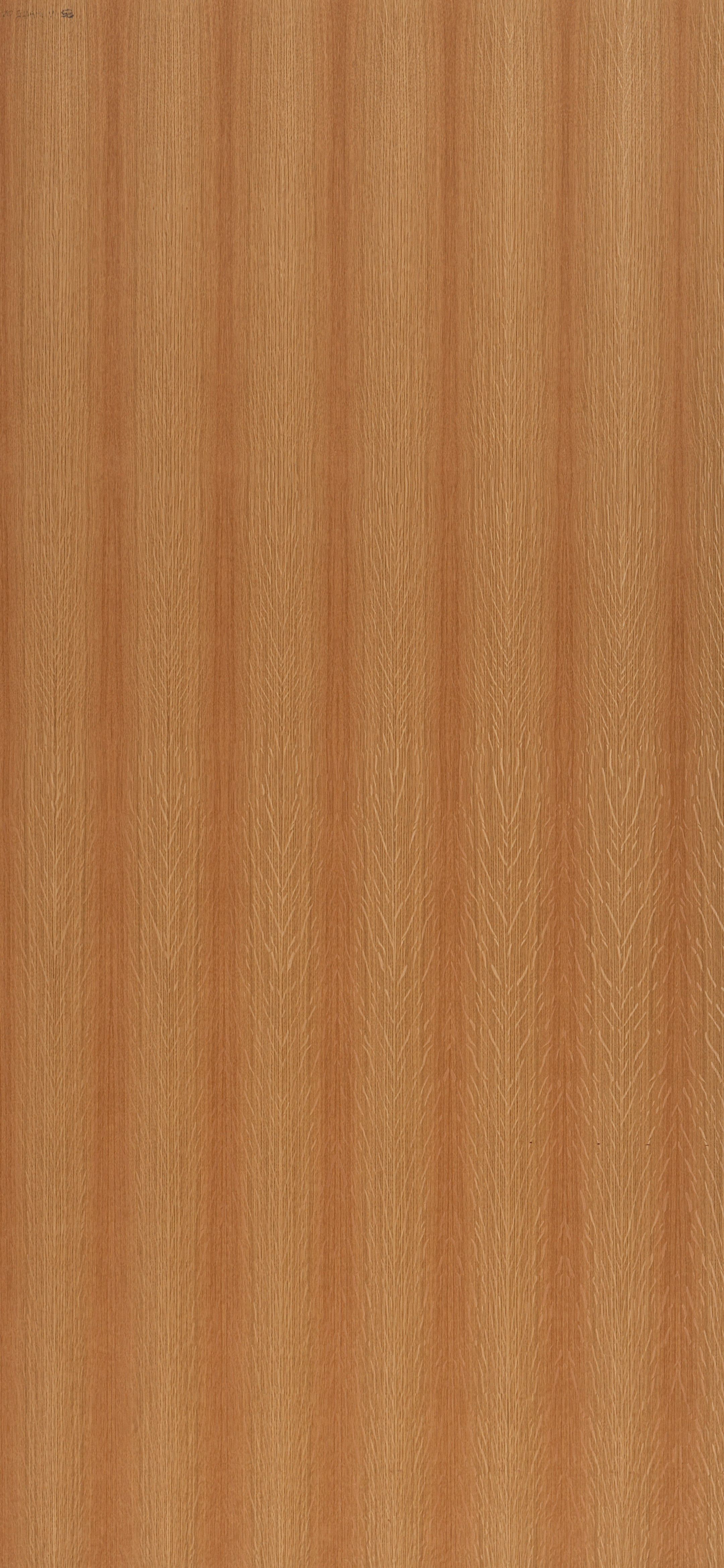 Rugby | PWWO12IA0008845