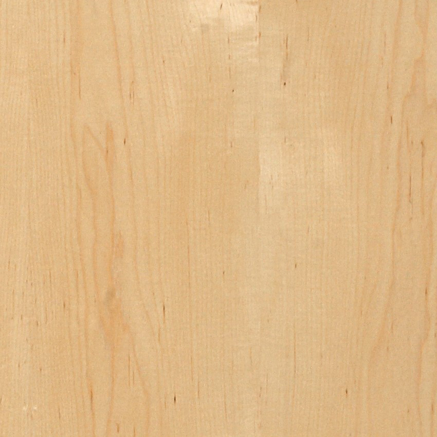 Rugby | PWMP58IB0012655