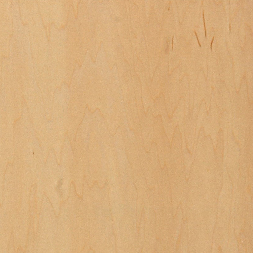 Rugby | PWMP34IB0010088