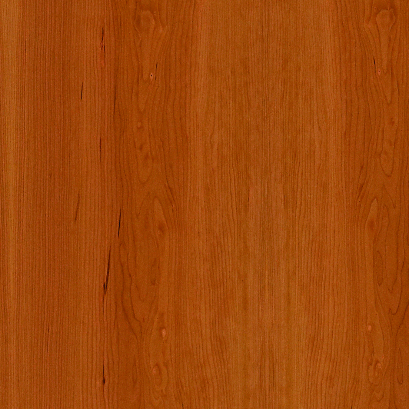 Rugby | PWCH38IB0009717