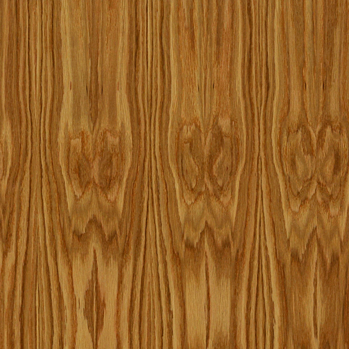 Rugby | PWWO14IB0003938