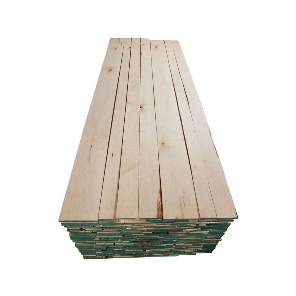 Rugby | LUSM051C450455