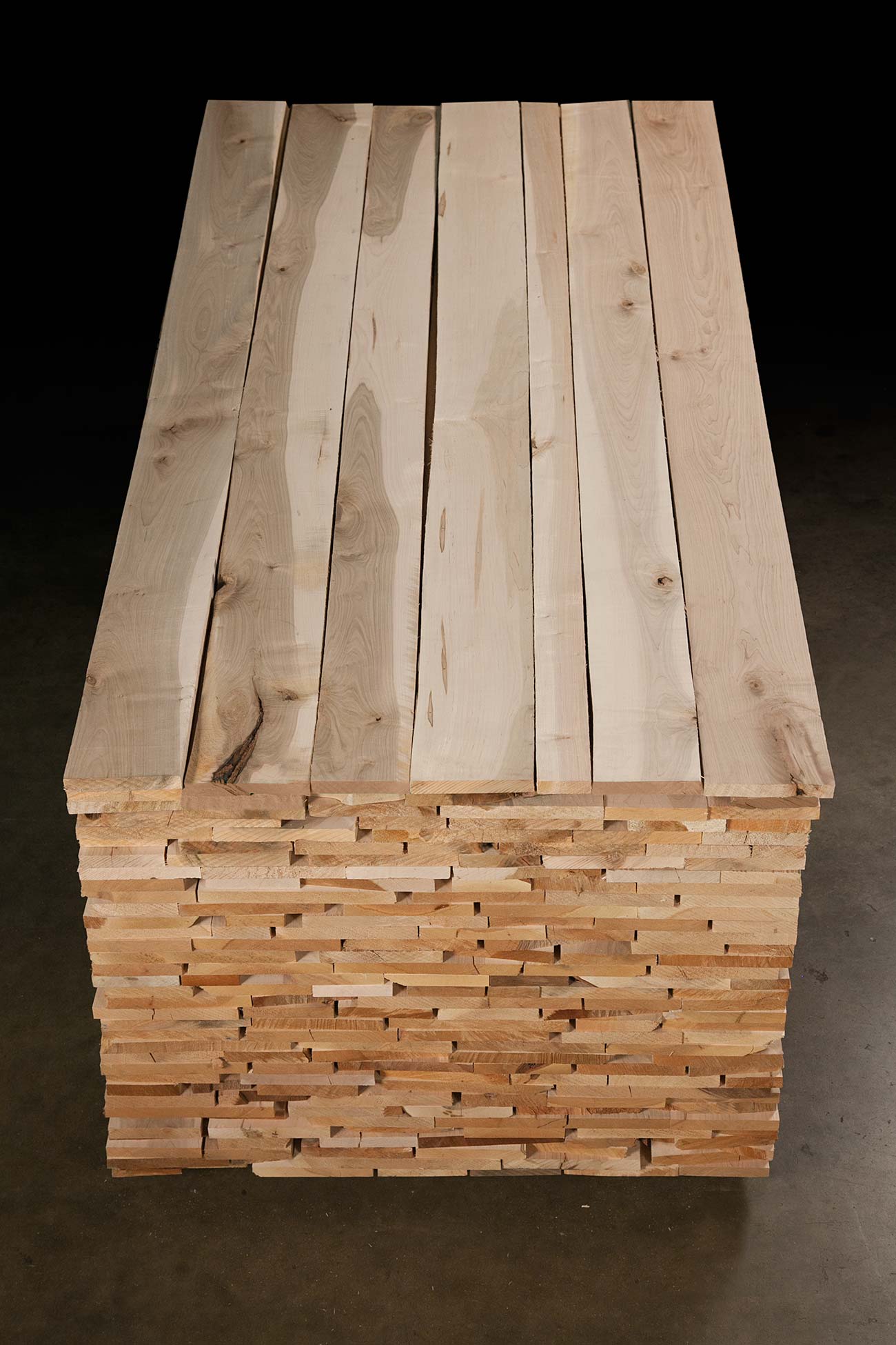 Rugby | LUSM041C490109