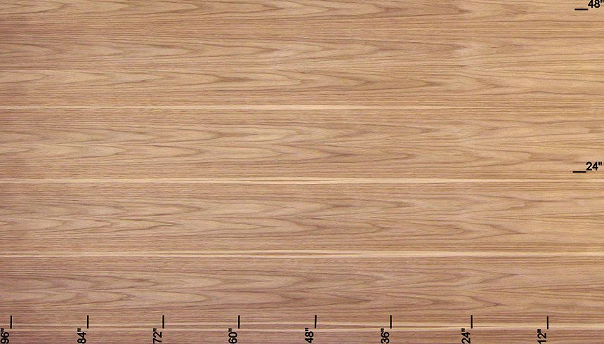 Dragon Ply Species - Rugby