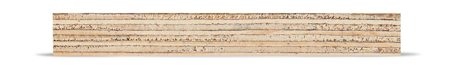 Dragon Ply Species - Rugby