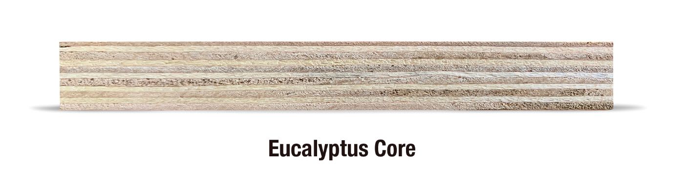 Dragon Ply Species - Rugby