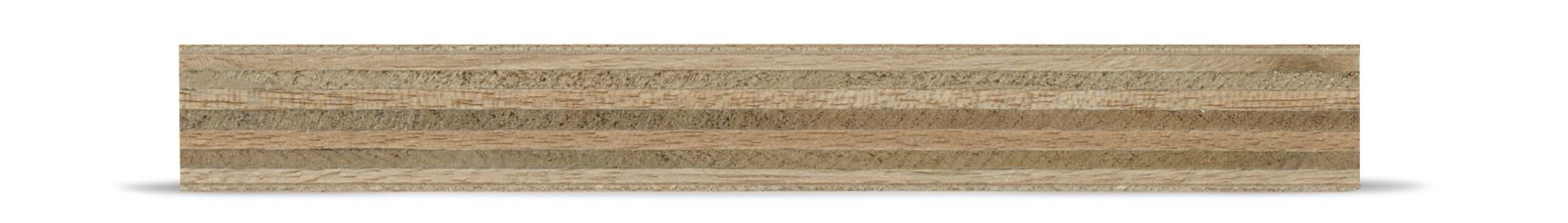 Dragon Ply Species - Rugby