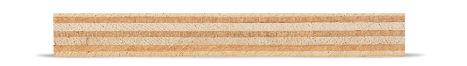 Dragon Ply Species - Rugby