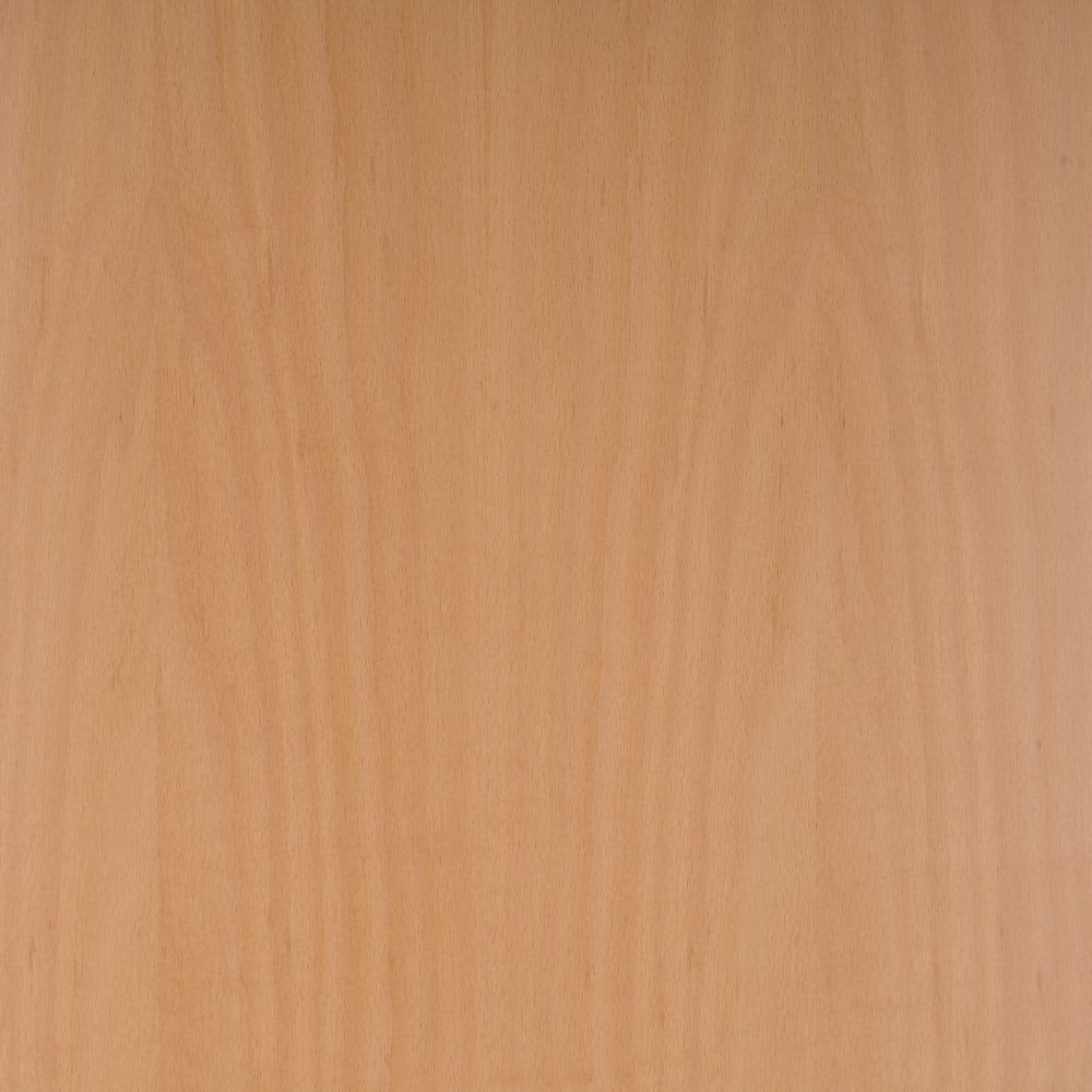 Murphy Species - Rugby