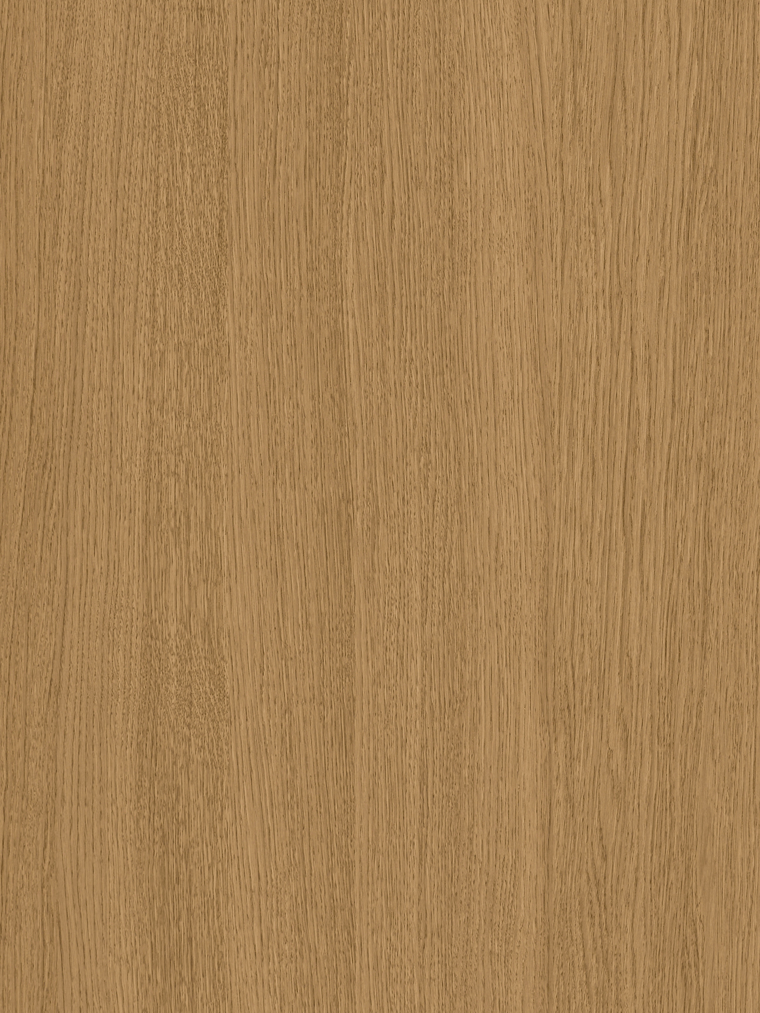 Sahara Oak - DesignOneSource