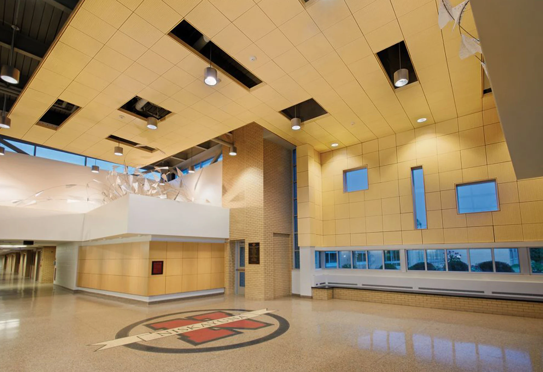 Qtr Maple - DesignOneSource