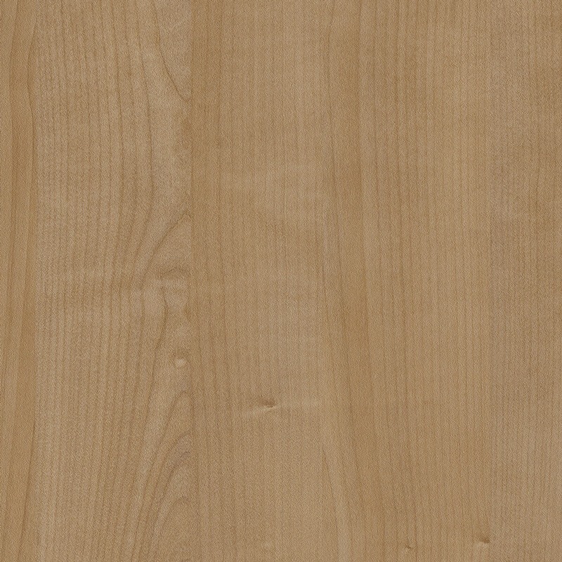 Silken Maple - DesignOneSource