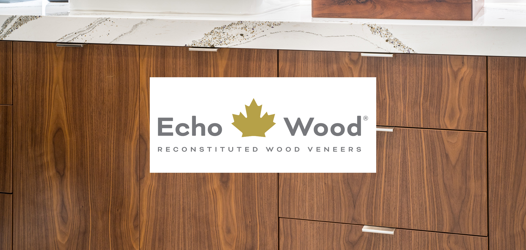 Echo Wood - Rugby