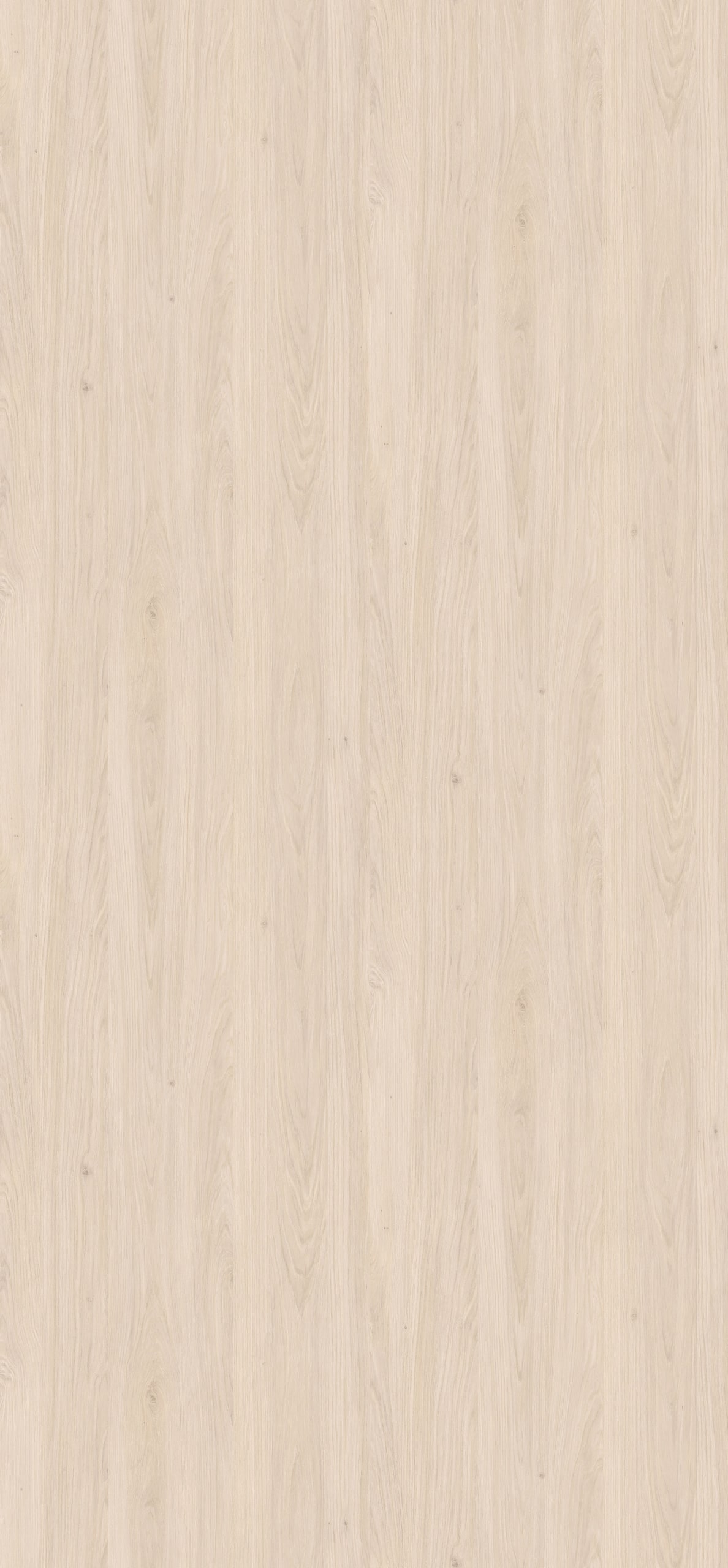 EGGER Designs - Rugby