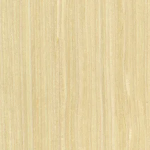 Echo Wood - DesignOneSource