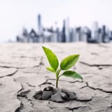 Climate Consulting