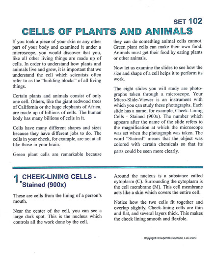Cells of Plants and Animals Microslide Set