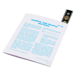 Microslide, Harmful & Helpful Bacteria