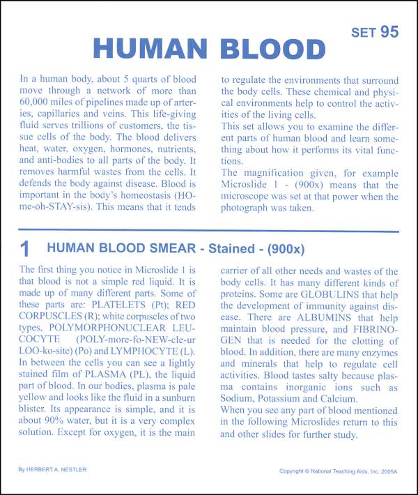 Human Blood Microslide Lesson Set