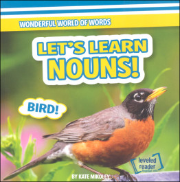 Let's Learn Nouns! (Wonderful World of Words)