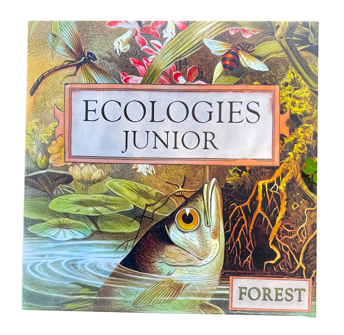 Ecologies Junior: Forest Game